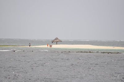 En famille et à la voile autour des Caraïbes: Morpion island, pourquoi ...