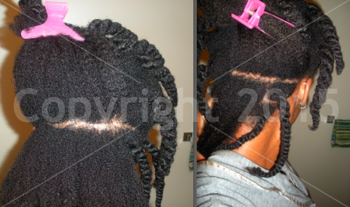 HEALTHY HAIR + BODY: Twist Series: The Method I