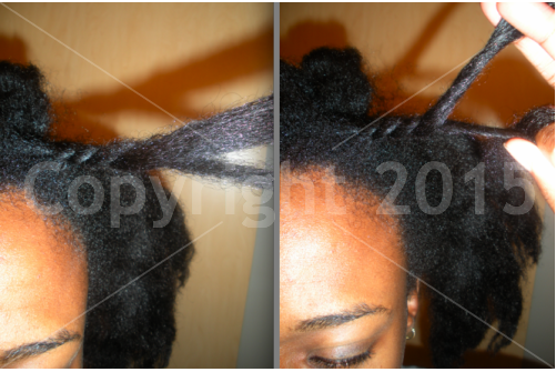 HEALTHY HAIR + BODY: Twists Series: Method II