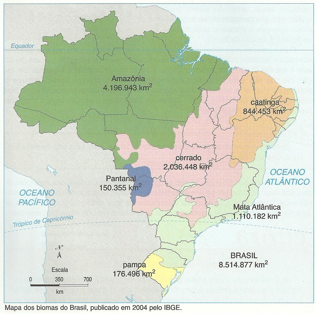 INFORMAÇÕES AMBIENTAIS: Caatinga