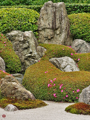 FROM THE GARDEN OF ZEN: June 2010