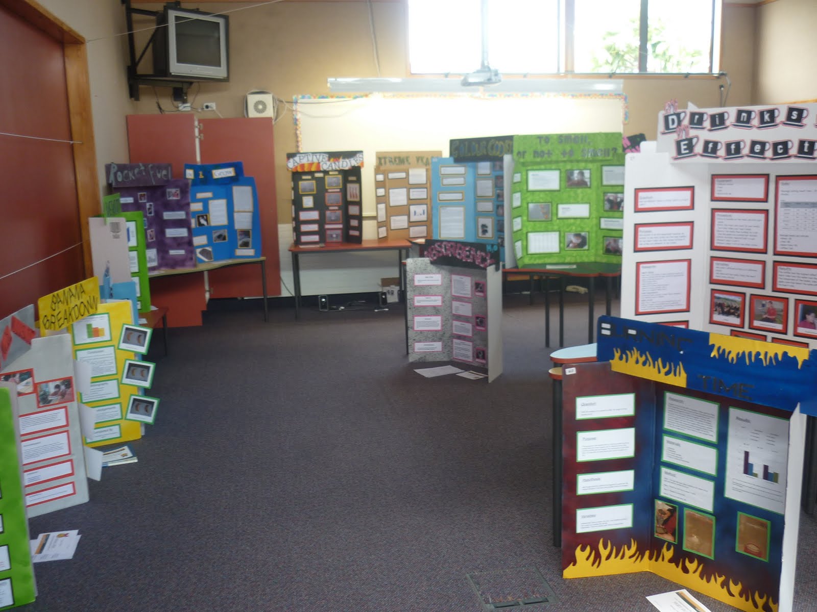 Huia 1 - Our History 2009 - 2014: Science Fair Projects