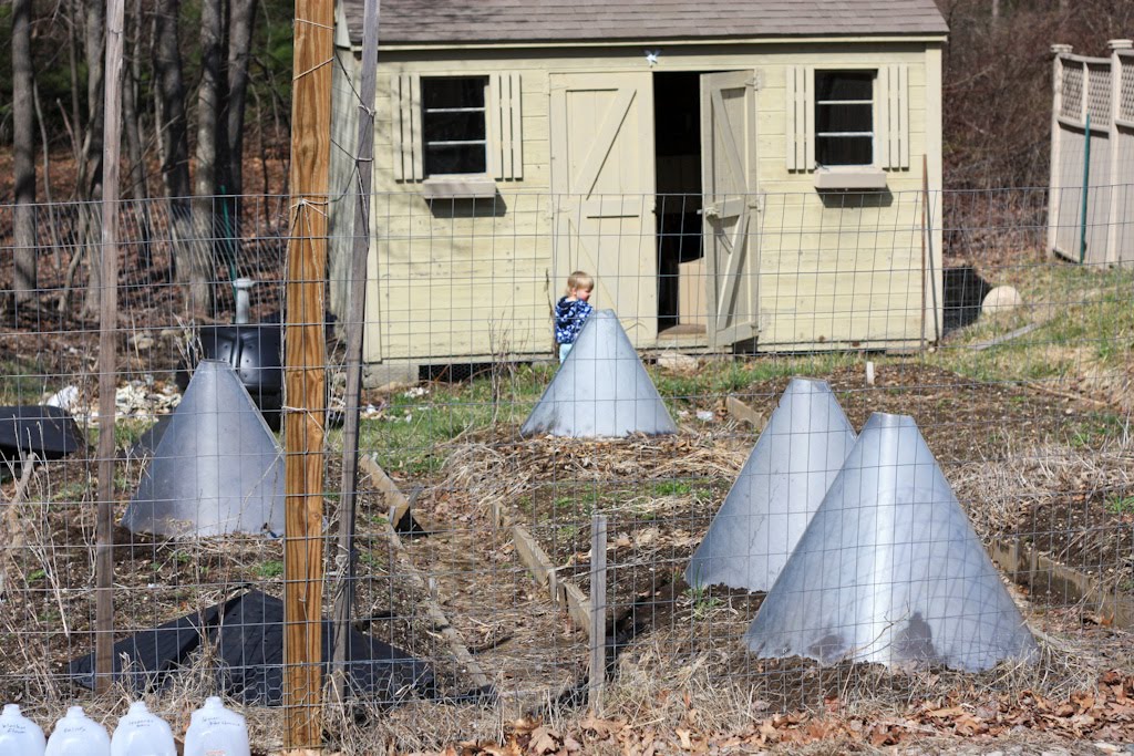 The Clueless Gardeners - A Garden Blog: The Solar Cone Project - How To