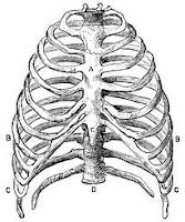 World Spins: I don't have the stomach to show these ribs