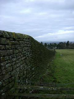 TeamWalking - Hill Skills & Outdoor Adventures: Northern Echo ...