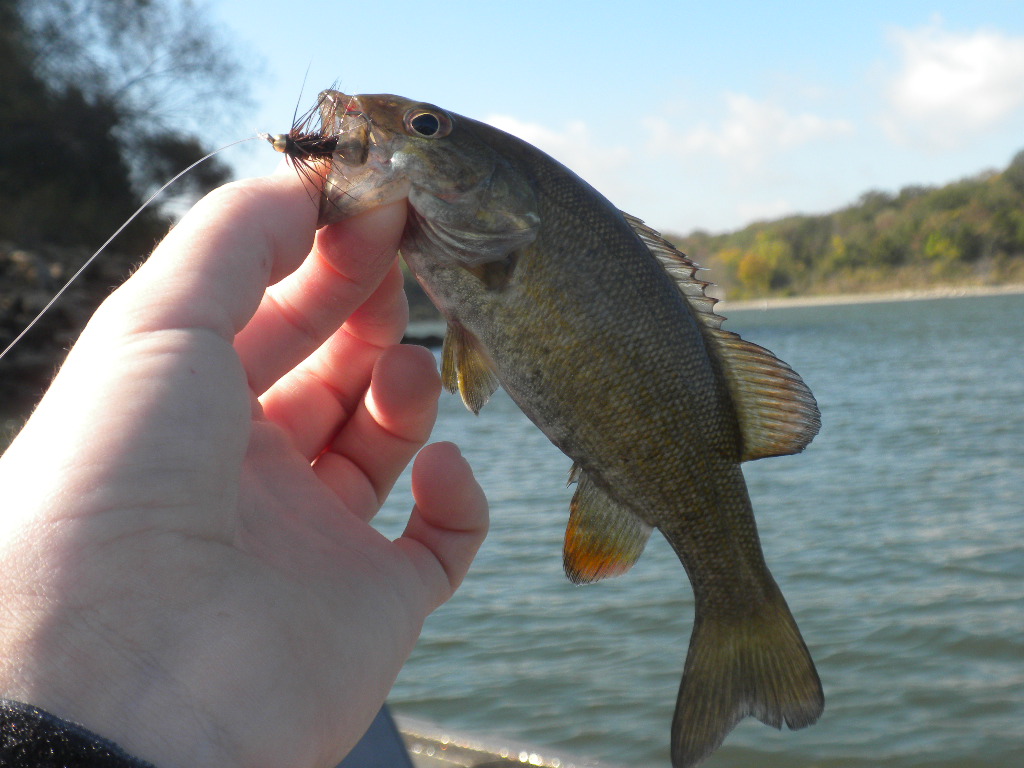 Pondbass- The FishBlog: Pichers
