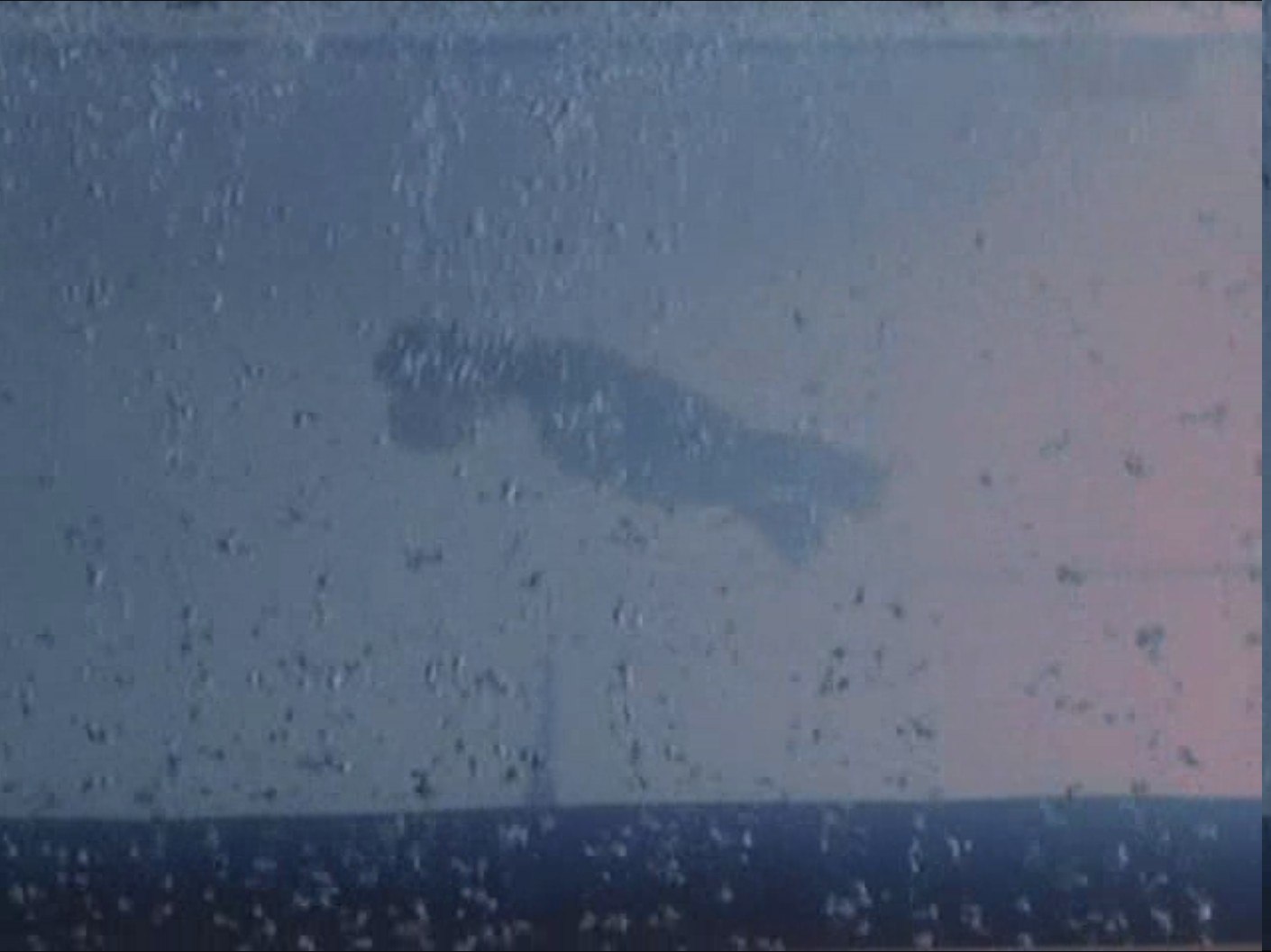 Le Théâtre Optique: The Invaders 1x05 Genesis (07.02.1967) [Richard ...