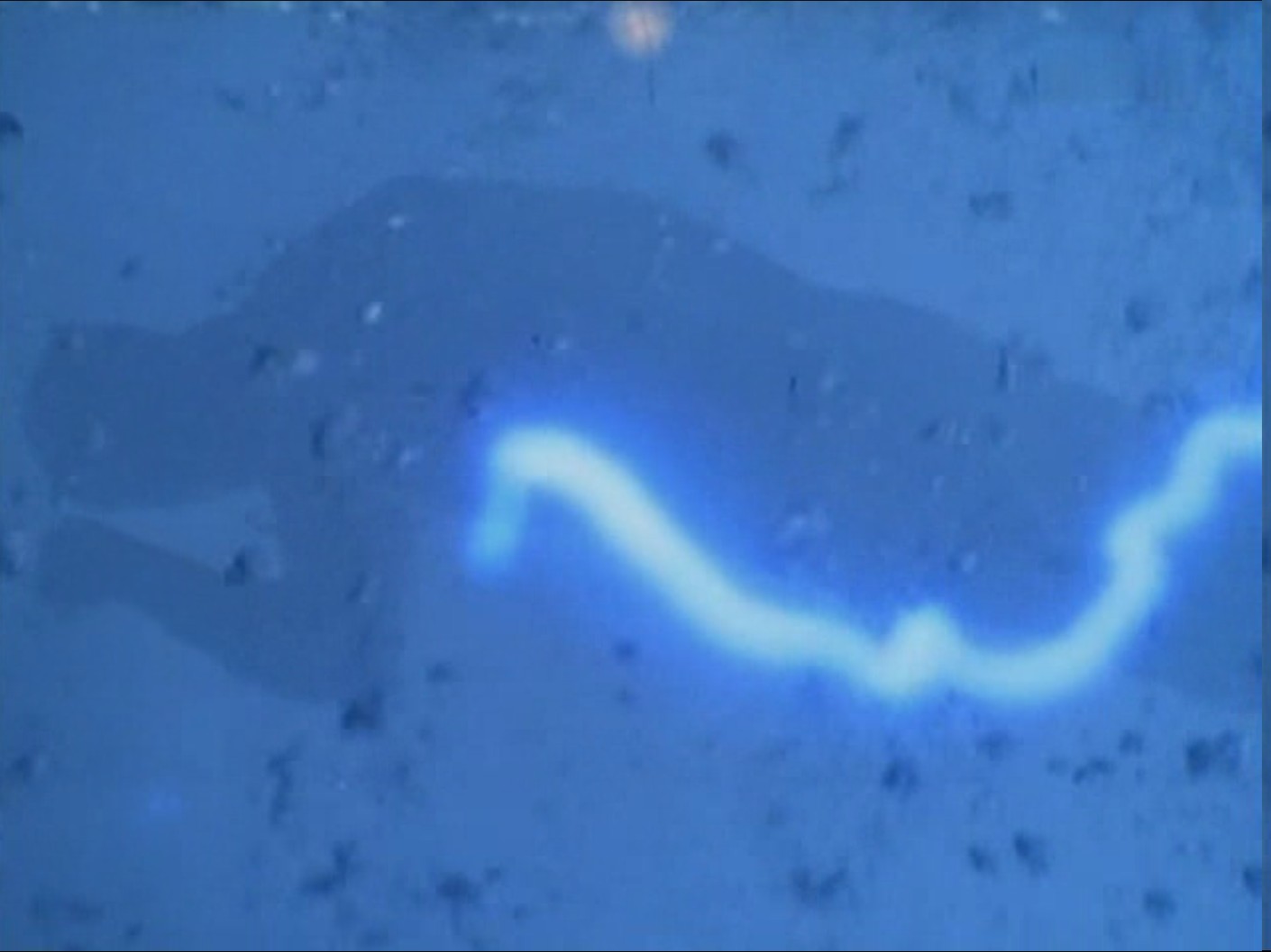 Le Théâtre Optique: The Invaders 1x05 Genesis (07.02.1967) [Richard ...