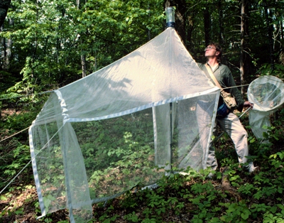 Insect Collecting, Rearing & Natural History: Insect Trapping Methods