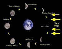 Lews Info (lews-info) (www.lews.info): Moon phase and menstrual cycle