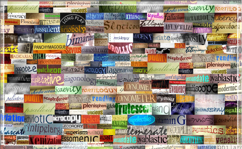 BOOKTRYST: Adopt an Obsolete Word, Save It From Extinction!