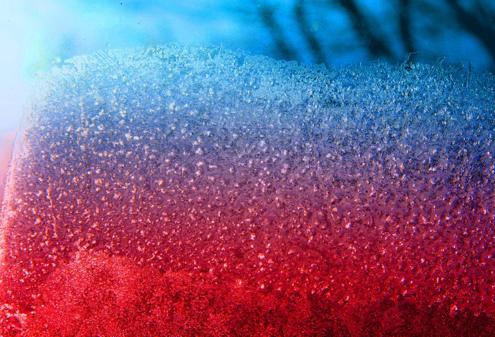 Murder by 4: Frosty Colors for You