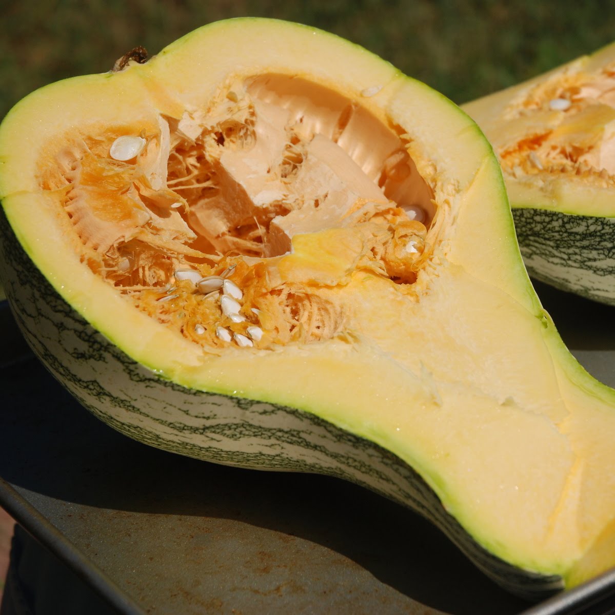 Cushaw Squash Recipes