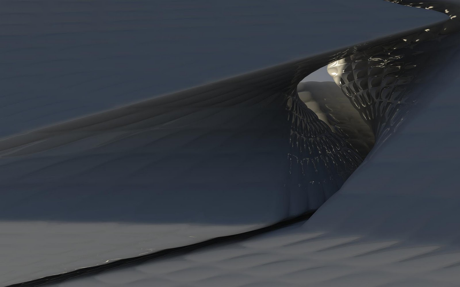 DOMINIC PETERNEL: WHITNEY COVER