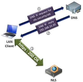 Security technologies on Microsoft environnement: [DirectAccess] NLS server