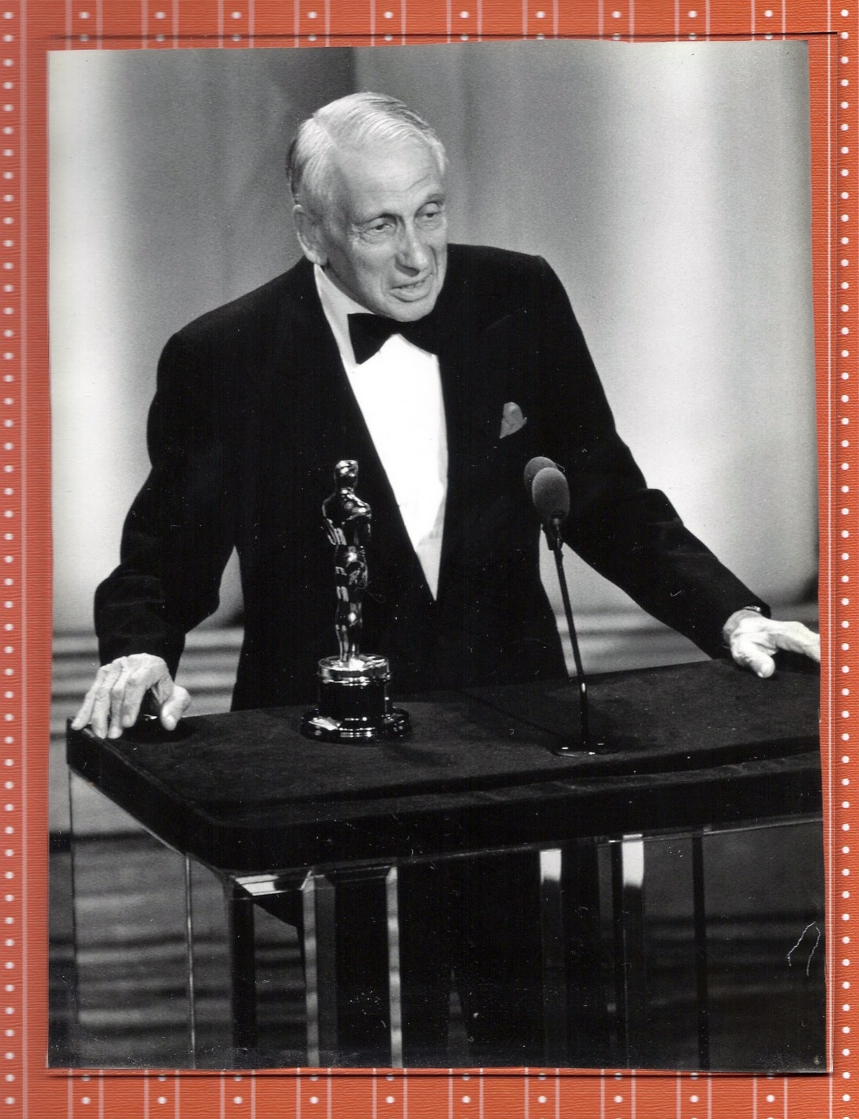 A Dog's Voyage Around The World™: Our Friend Has been nominated for a ...