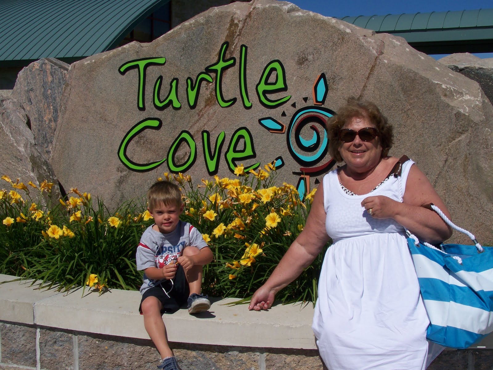 My Life: Turtle Cove