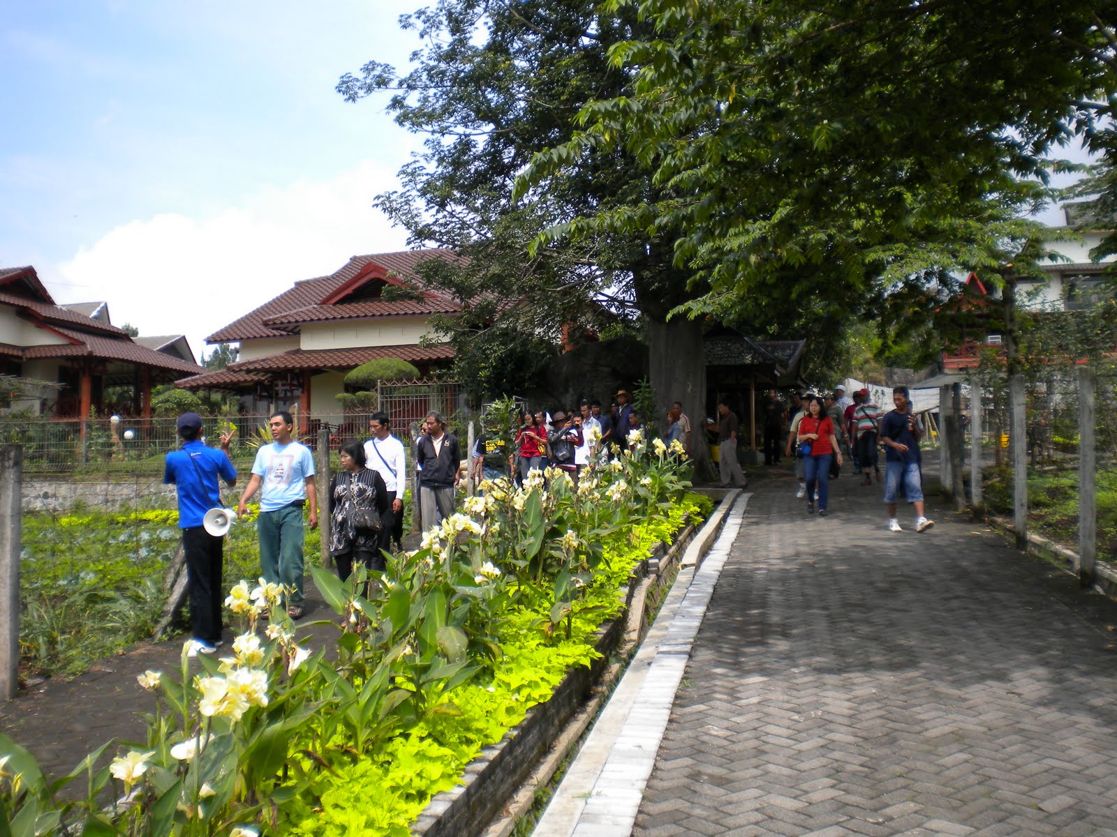 Petik Buah Apel di Kusuma Agrowisata Malang Jatim ~ Personal blog ...