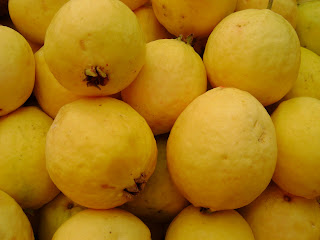 JARDIN DE LA SALUD PLANTAS MEDICINALES: GUAYABA. Psidium guajava L.