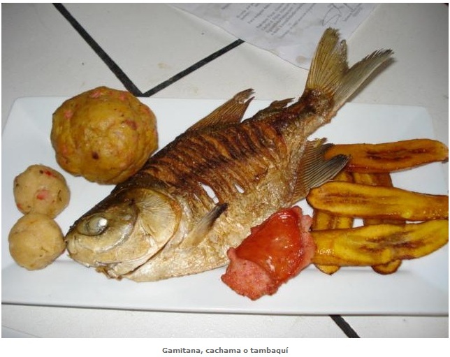 Amazonia : Del Pulmon del mundo, para el mundo.