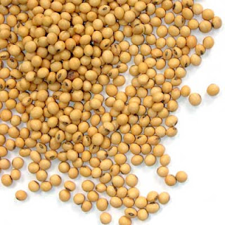 Health Benefits of Soy - Part 2 | Health Tips Doctor