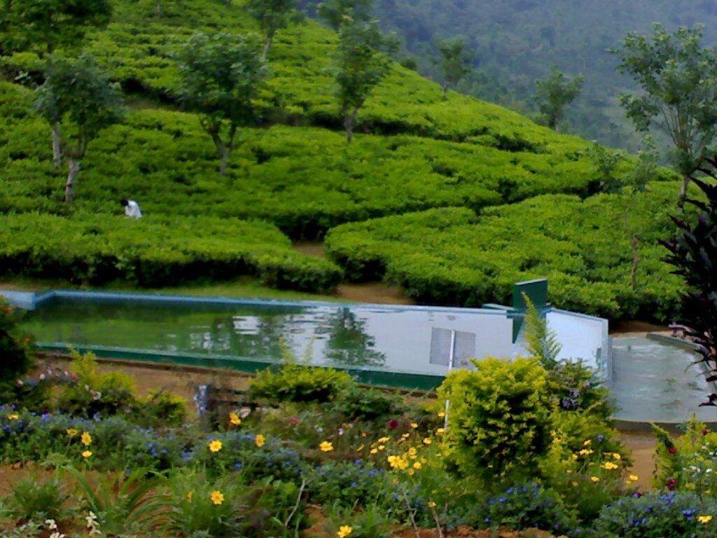 Natural Beauty of Matale: Value of Matale