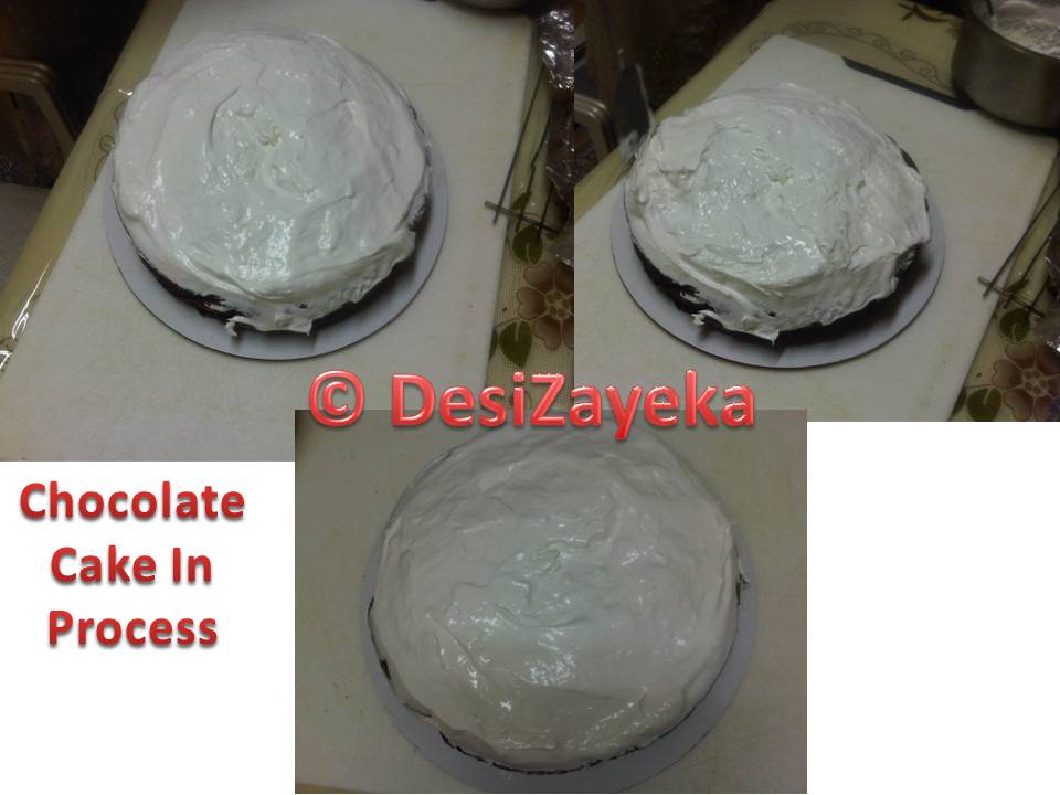 January 2011 ~ Desi Zayeka