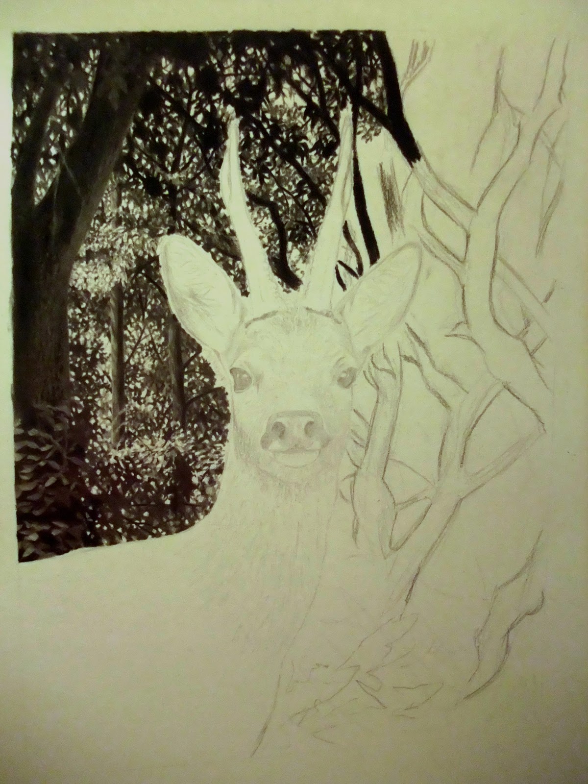 Antoine Roquain Dessin Animalier, Wildlife Pencil Art: Portrait de ...