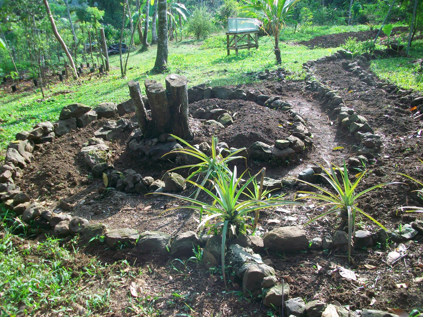Pura Vida dreamin': What is Permaculture?