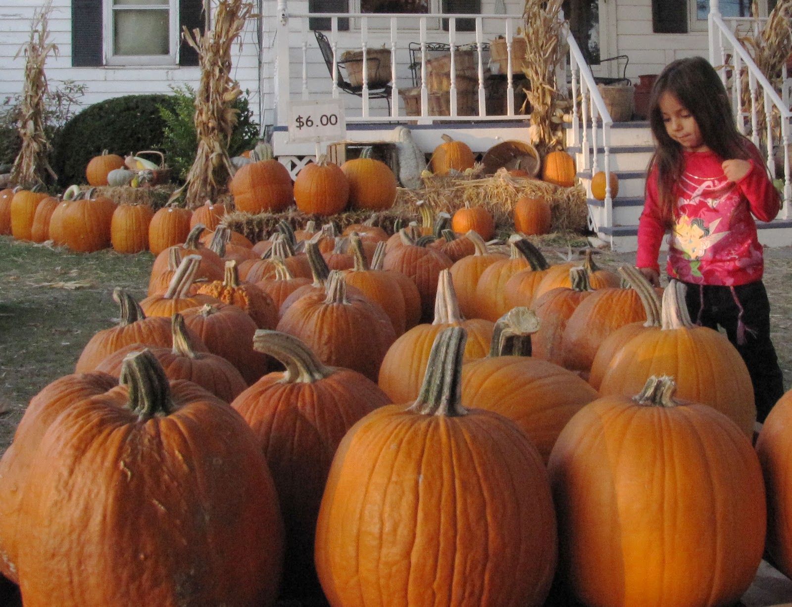 Kendra Caudill's Photo Blog