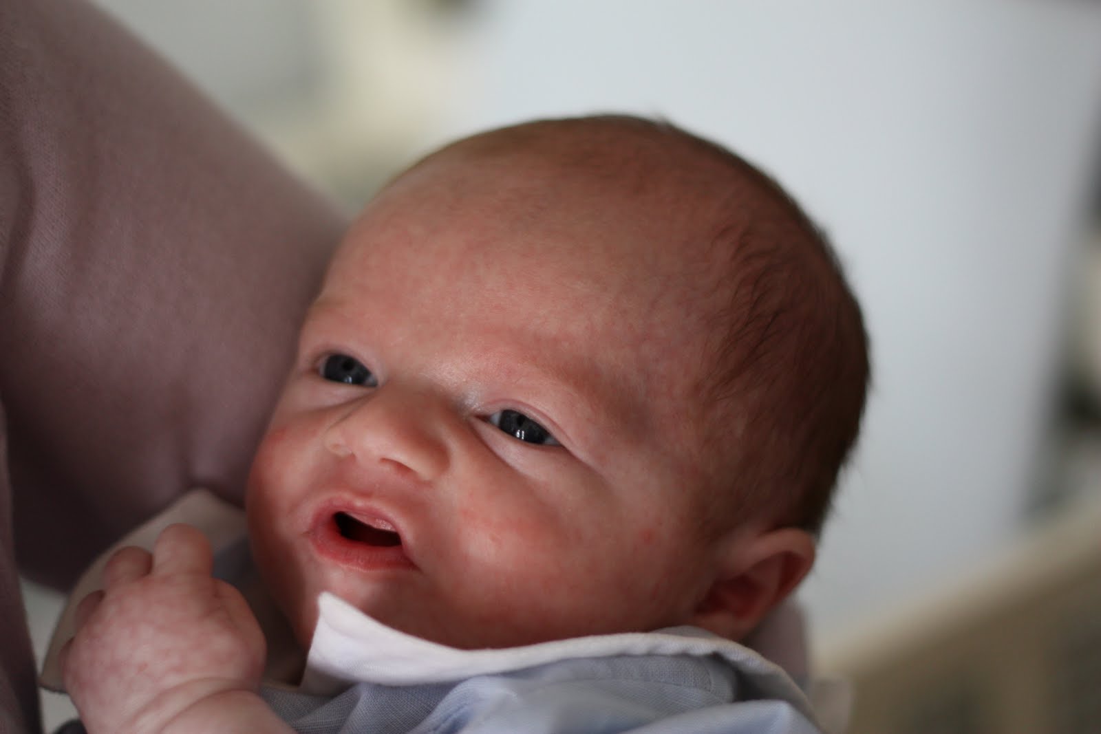 Very Virginia: Baby Andrew