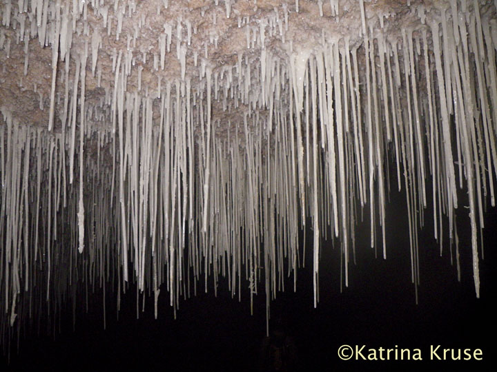 The Kruse Chronicles Continue in Cocoa, Florida: Soda Straw Cave ...