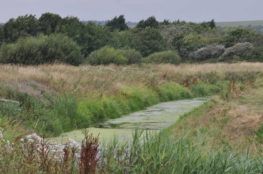 Postcards from Sussex: A walk along Ferring Rife