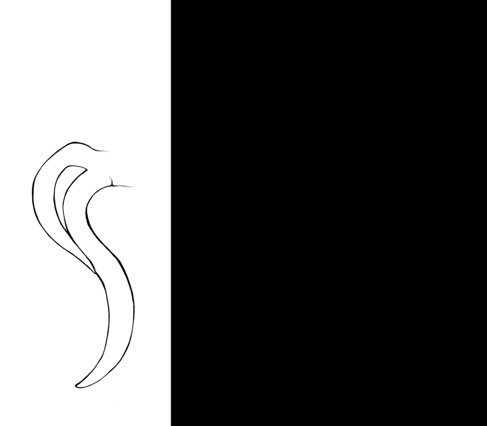 Sara Randazzo - Fashion Design Portfolio