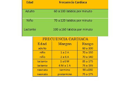 Cuaderno de Apuntes del Curso de APA en Coronado: EL PULSO