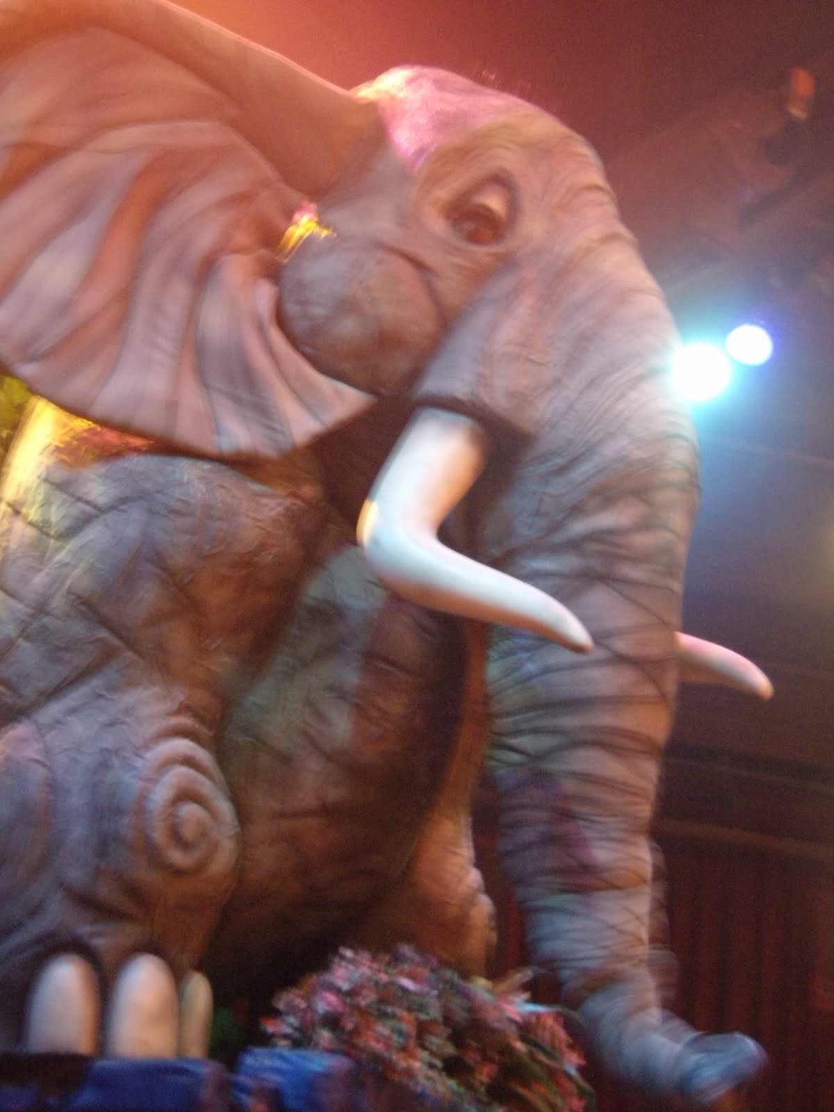 Williams Family: Festival of The Lion King--Animal Kingdom