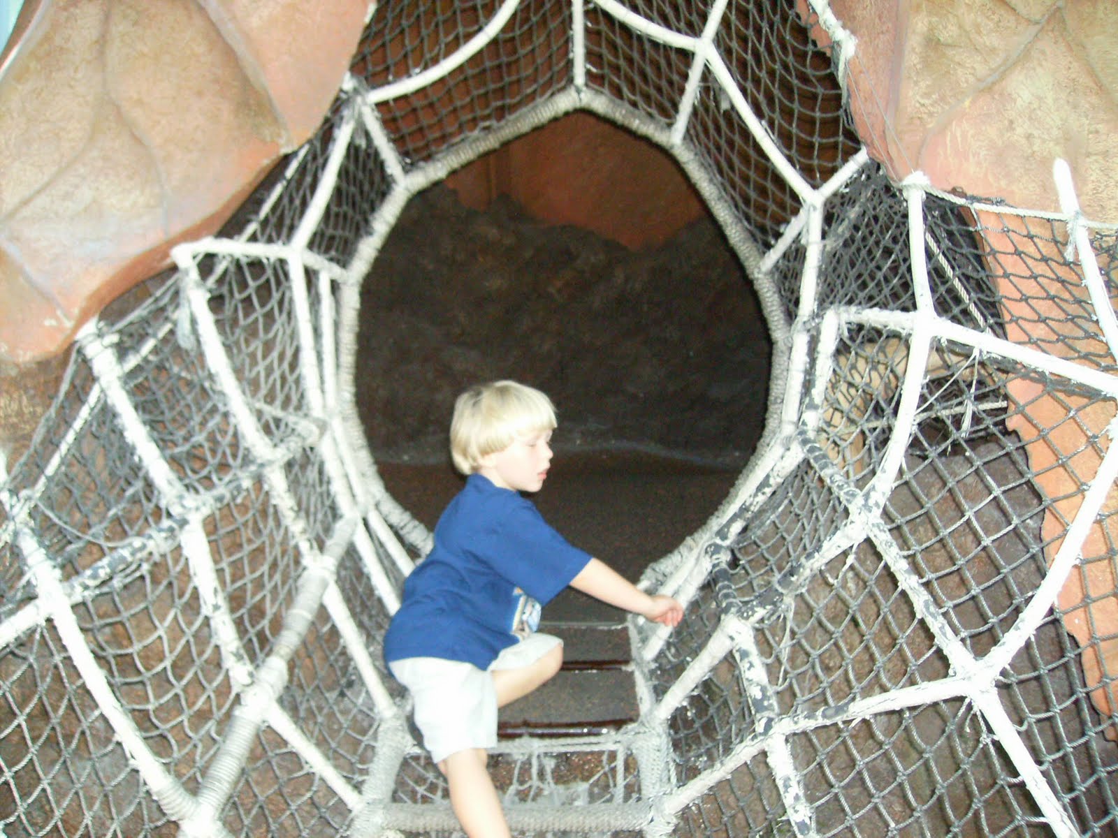 Williams Family: Honey, I Shrunk The Kids Movie Set Adventure Playground