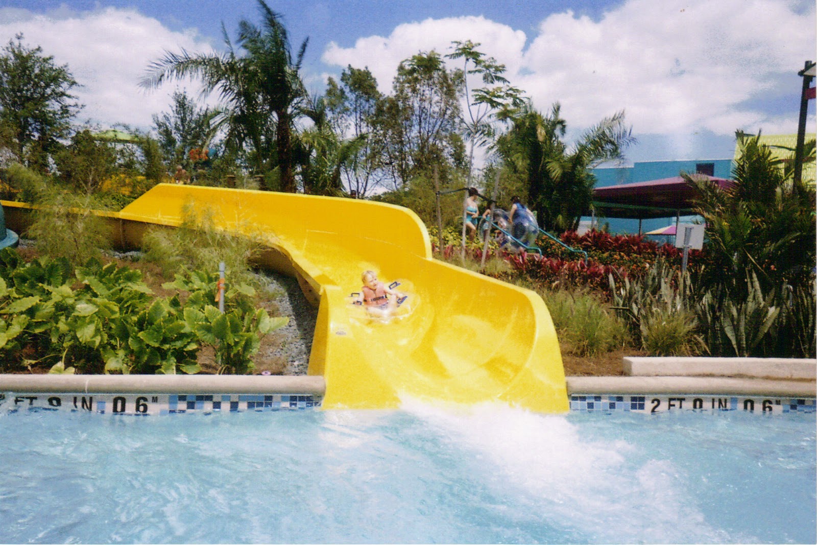 Williams Family: Aquatica--SeaWorld's Water Park