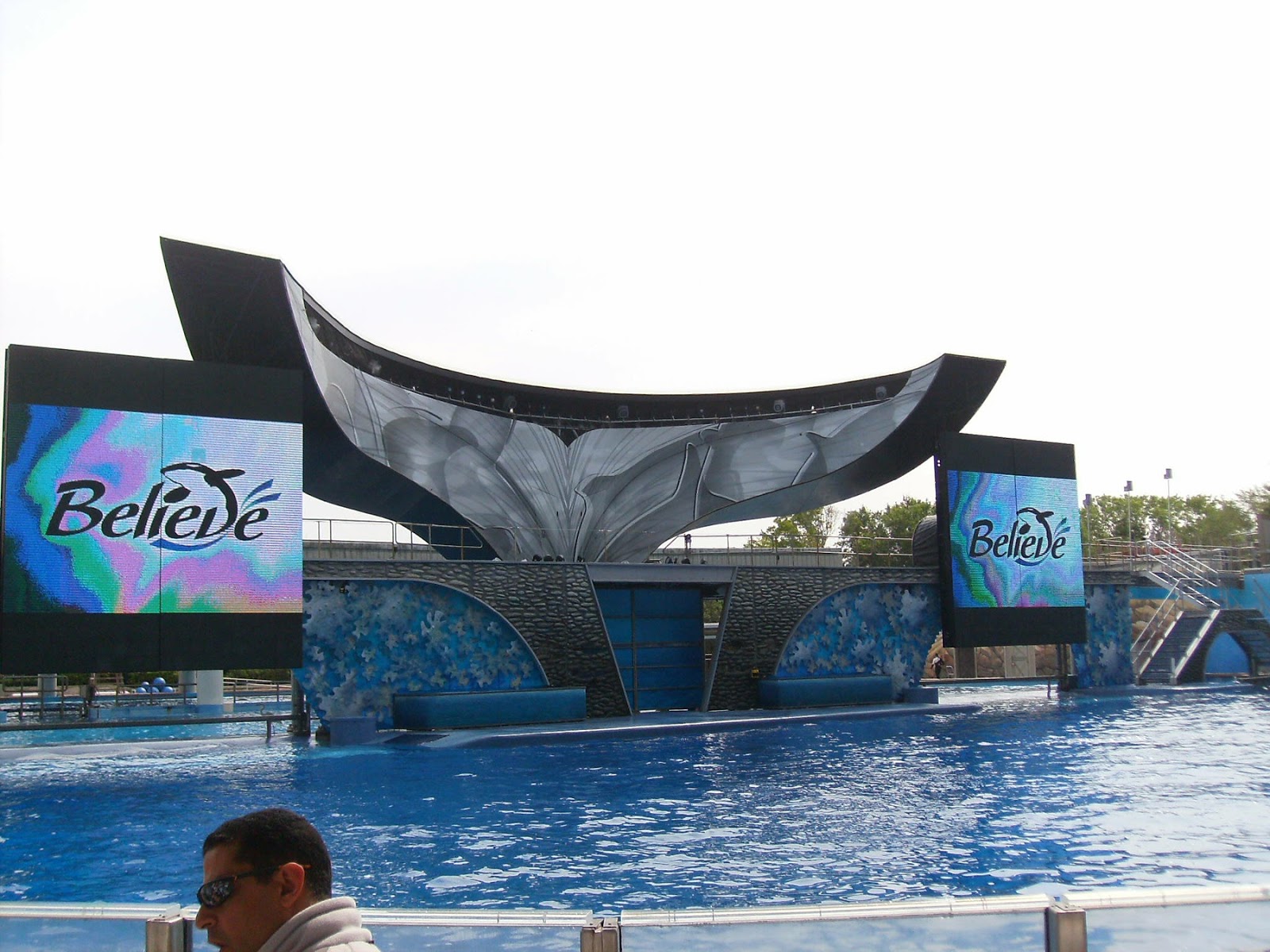 Williams Family: SeaWorld's Believe!