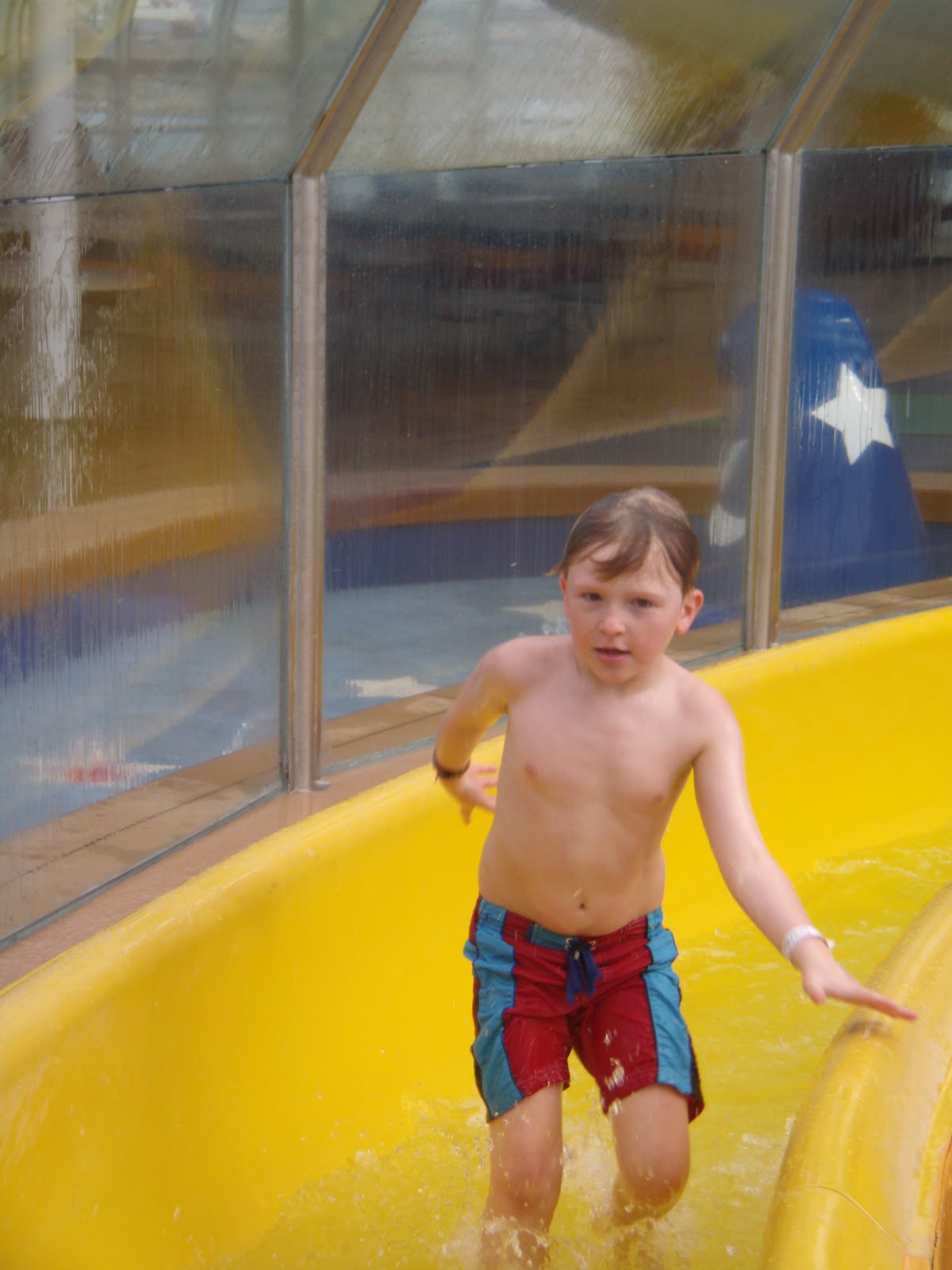 Williams Family: Swimming In The Mickey Pool On Disney Cruise Line