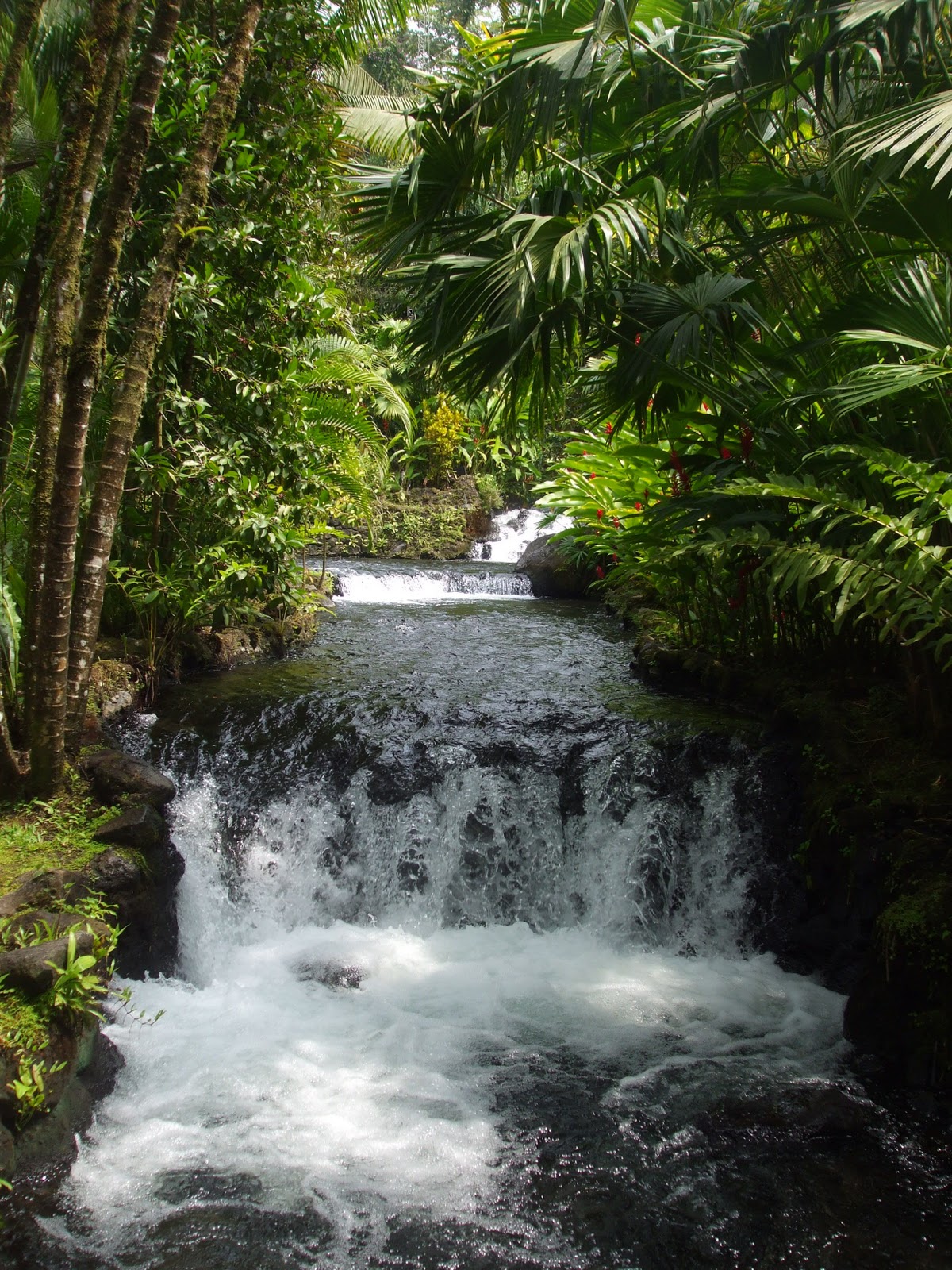 Costa Rica Holiday: Tabacon Thermal Springs Resort