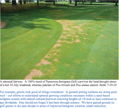 Turf Scouting Report, July 23rd | Naperville Country Club Green Department