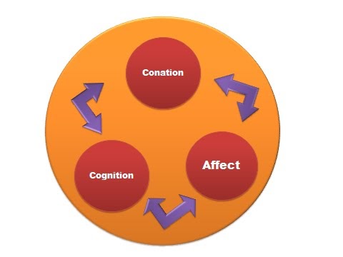 EduReadings: Tricomponent Attitude Model