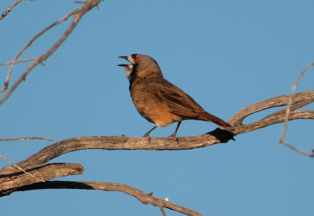 Brookfield Conservation Park