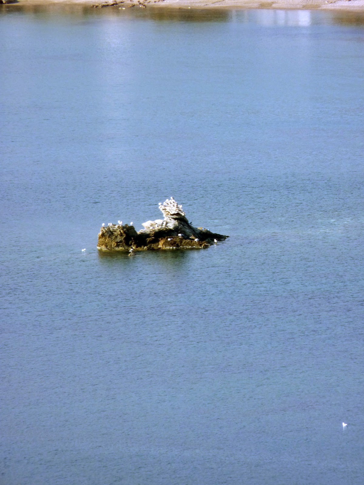 Σκεψεις, ηχοι και εικονες: December 2010