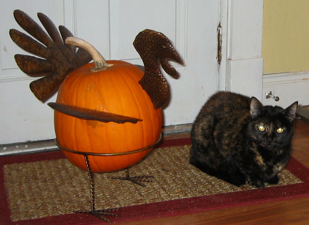 The House Where The Black Cat Lives: Happy Thanksgiving From The House ...