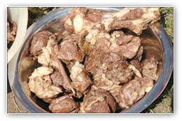 Lovely day with Michael Hughes (Integrative English Ⅱ_15): Mongolian ...