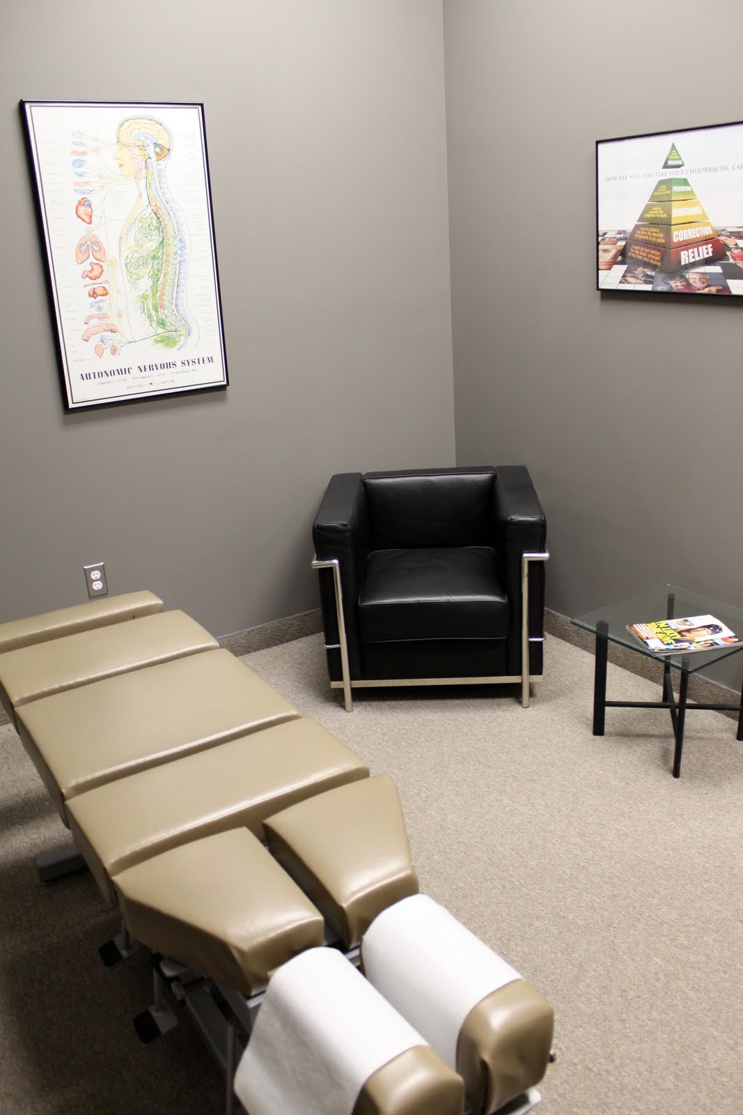 The Chiropractic Studio