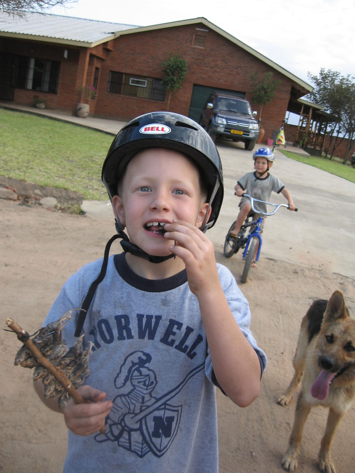 Missions in Malawi: Rats on a Stick