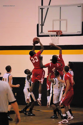 Terrell Daily Photo: 1/1/10 - 2/1/10